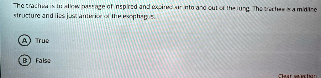 The trachea is to allow passage of inspired and expired air into and ...