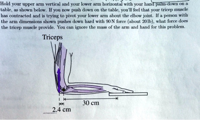 Hold your upper arm vertical and your lower arm horizontal with your hand palm-down on a table ...