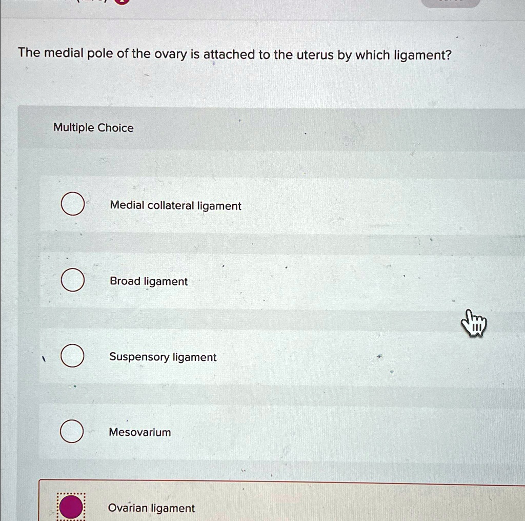 The medial pole of the ovary is attached to the uterus by which ...