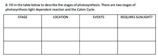 SOLVED: Patulong po, please. ;()' Fill in the table below to describe ...