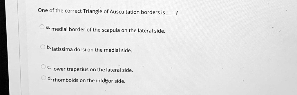 one of the correct triangle of auscultation borders is a medial border ...