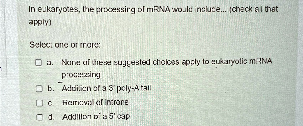 SOLVED: In eukaryotes, the processing of mRNA would include... (check ...