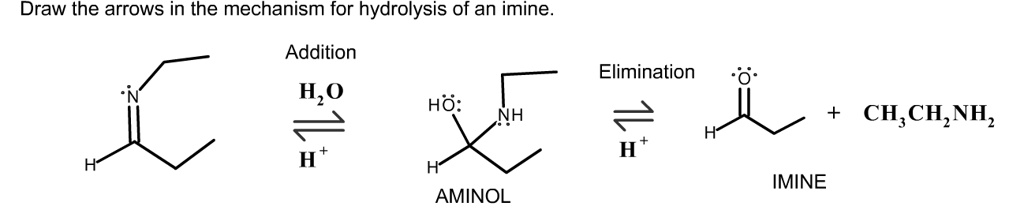 SOLVED: Draw the arrows in the mechanism for hydrolysis of an imine ...