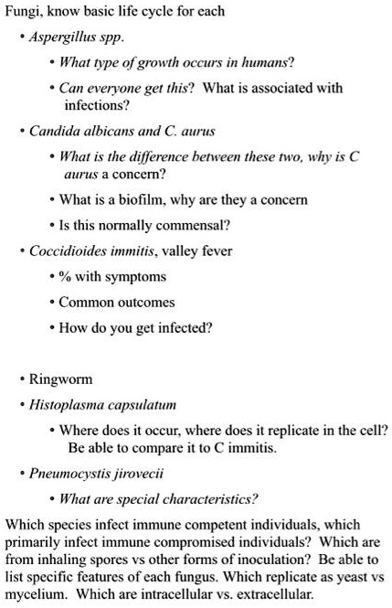 SOLVED: Fungi. Know the basic life cycle for each. Aspergillus spp ...