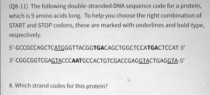 SOLVED: (Q8-11) The following double-stranded DNA sequence code for a protein, which is 9 amino ...