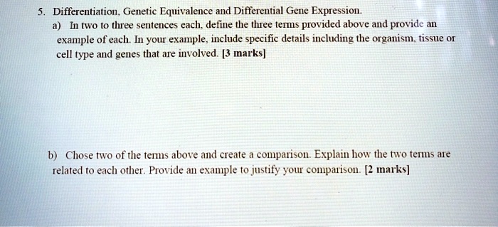 differentiation genetic fquivalence and differential gene expression in ...