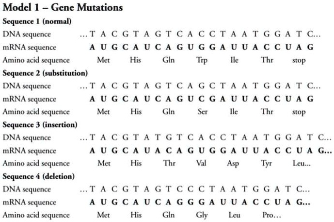 SOLVED: Model 1 Gene Mutations Sequence (normal) DNA sequence T 4 € G T A G T C ^ € € T ^ ^ T G ...