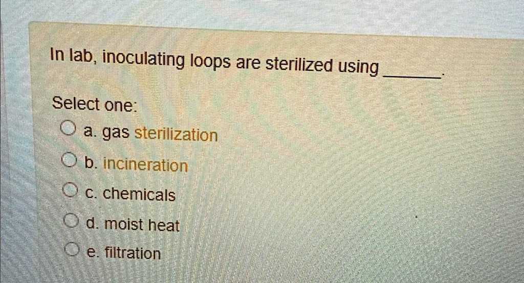 SOLVED: In lab, inoculating loops are sterilized using Select one: a ...