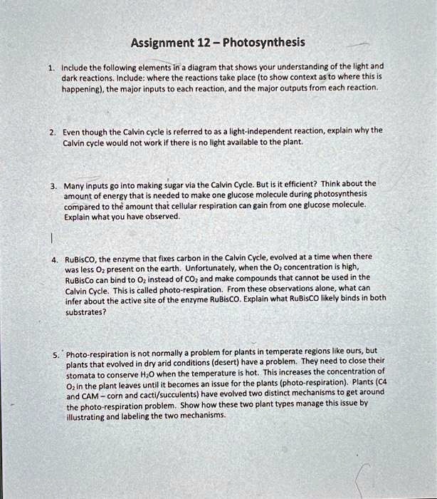 SOLVED: Texts: Assignment 12 - Photosynthesis 1. Include the following ...