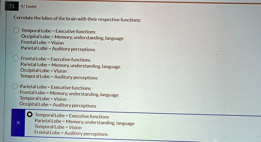 71 0/1 point Correlate the lobes of the brain with their respective ...
