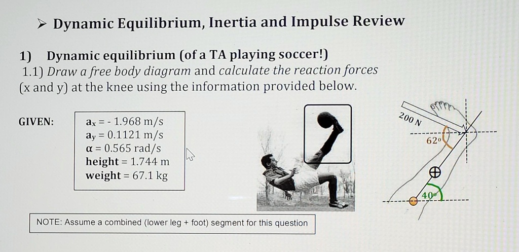 [GET ANSWER] ? Dynamic Equilibrium, Inertia and Impulse Review 1 ...