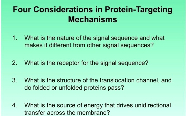 SOLVED: Four Considerations in Protein-Targeting Mechanisms What is the ...