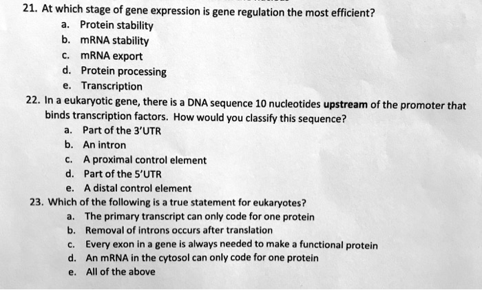 SOLVED: 21. At which stage of gene expression is gene regulation the ...
