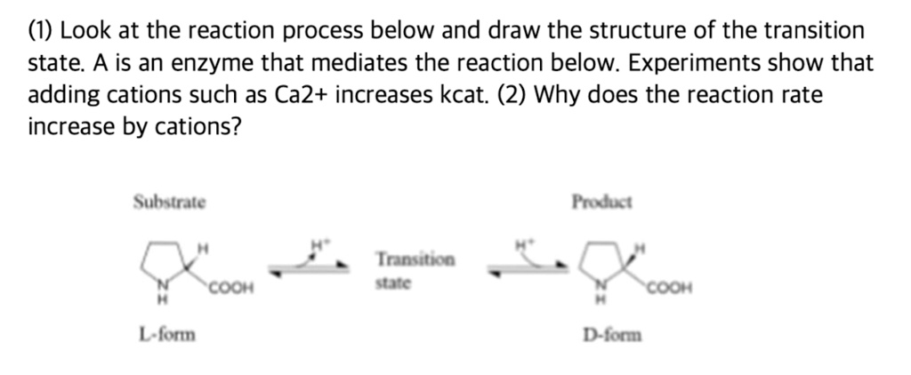 (1) Look at the reaction process below and draw the structure of the ...