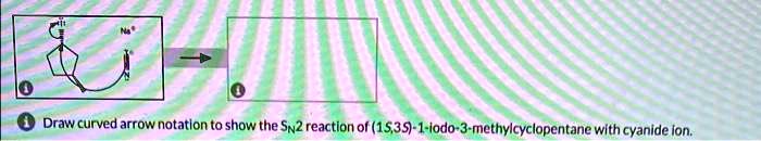 Draw curved arrow notation to show the SN2 reaction of (1S,3S)-1-iodo-3-methylcyclopentane with ...