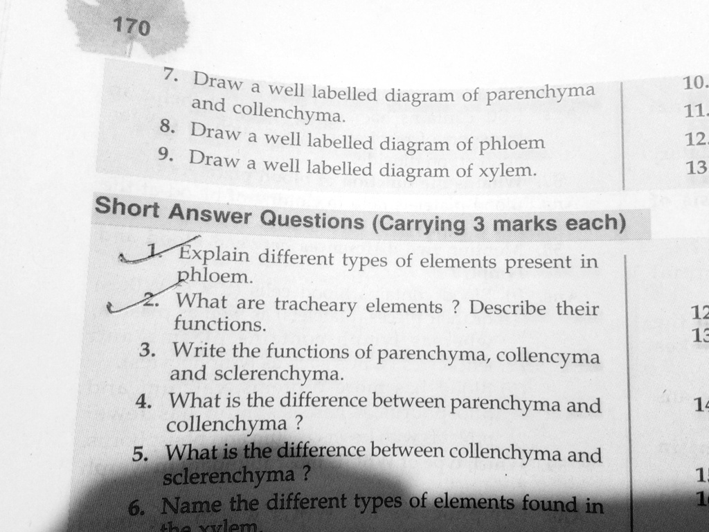 SOLVED: Tick marks..... please help......... 7. Draw a well-labelled ...