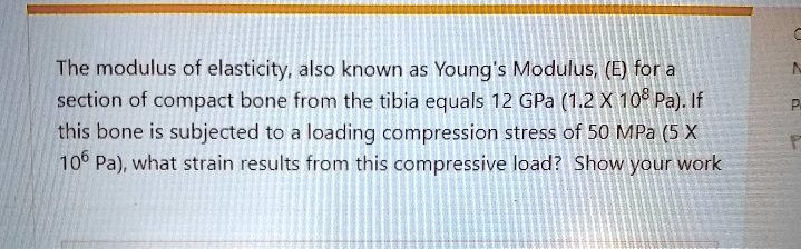 the modulus of elasticity also known as youngs modulus e for section of ...