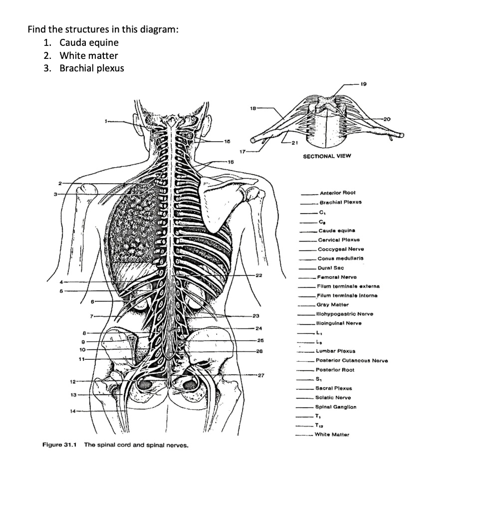 SOLVED: Please help to find the structures listed at the top 1, 2 3 ...