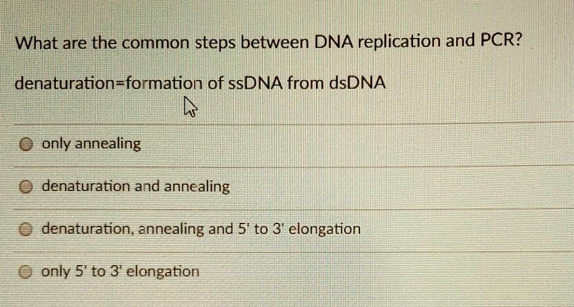 SOLVED: What are the common steps between DNA replication and PCR ...