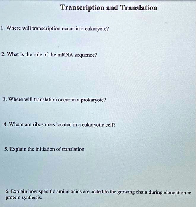 SOLVED: Transcription and Translation 1. Where will transcription occur ...