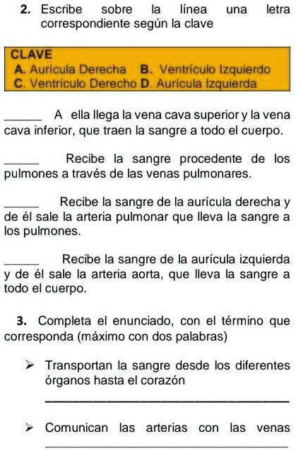 escribe sobre la linea la letra que corresponda segun la clave ayuda ...