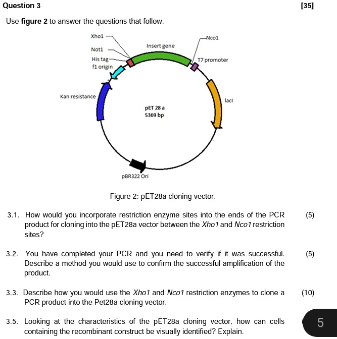SOLVED: Texts: Question 3 [35] Use Figure 2 to answer the questions ...