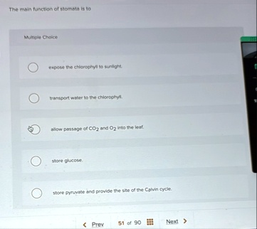 the main function of stomata is to multiple choice expose the ...