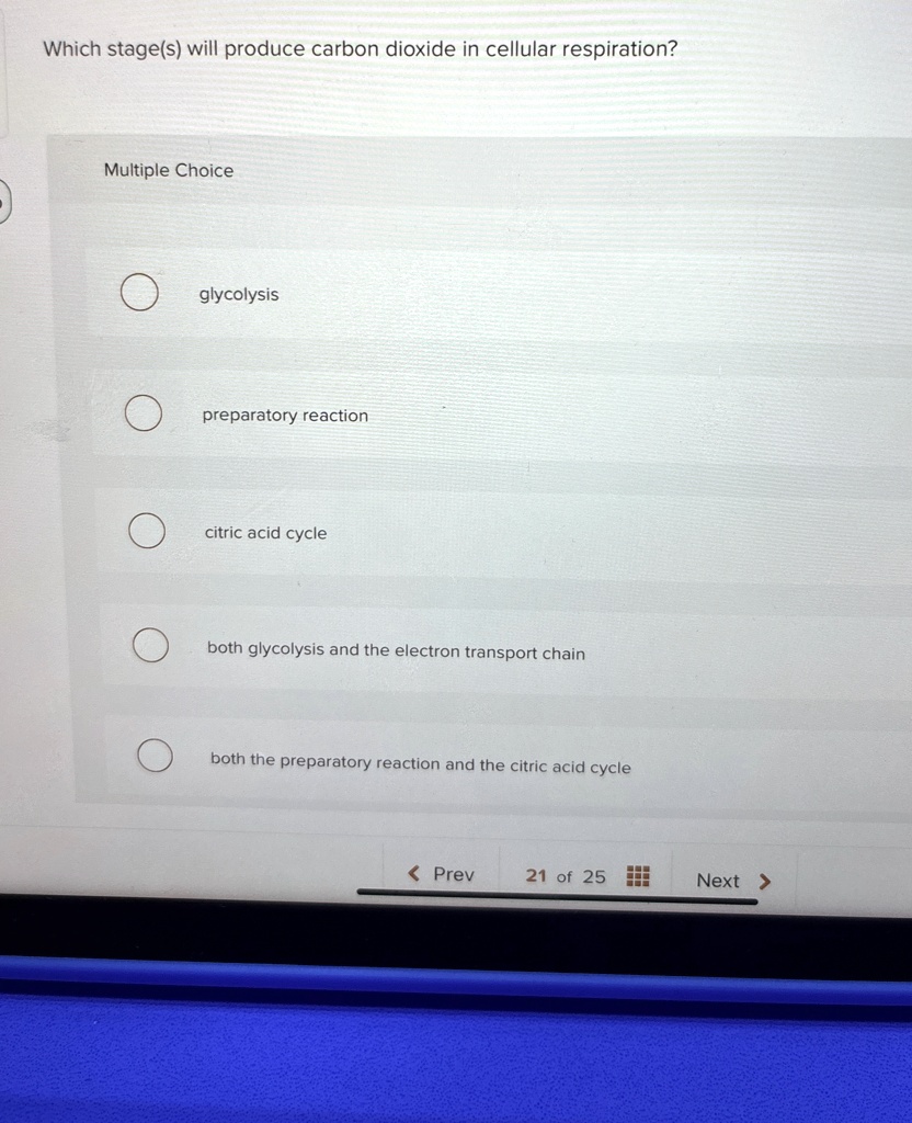 Which stage(s) will produce carbon dioxide in cellular respiration ...