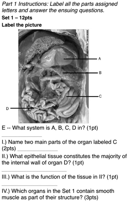 SOLVED:Part Instructions: Label all the parts assigned letters and ...