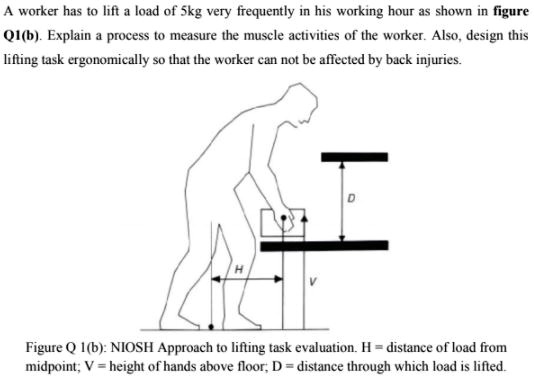A worker has to lift a load of 5kg very frequently in his working hour ...