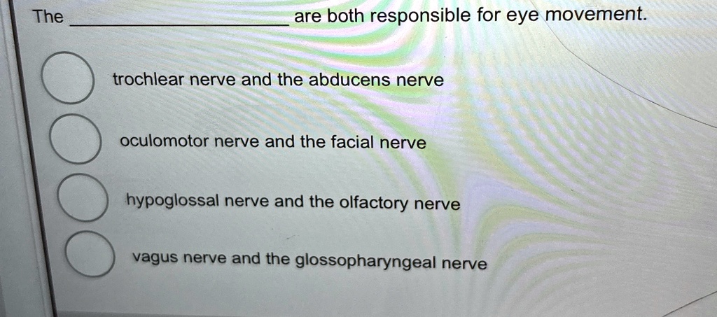 the are both responsible for eye movement trochlear nerve and the ...