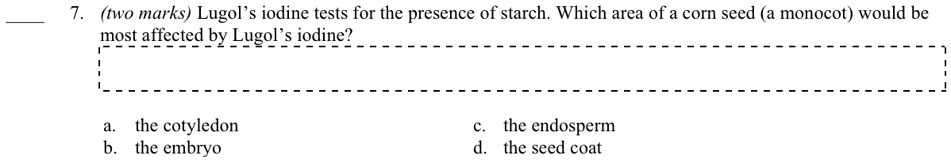 two marks lugols iodine tests for the presence of starch which area of ...