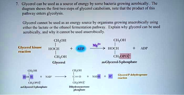 glycerol can be used as source of energy by some bacteria growing ...