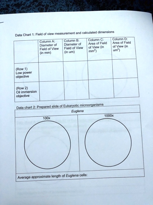 SOLVED: Field of view measurement and calculated dimensions Data Chart ...