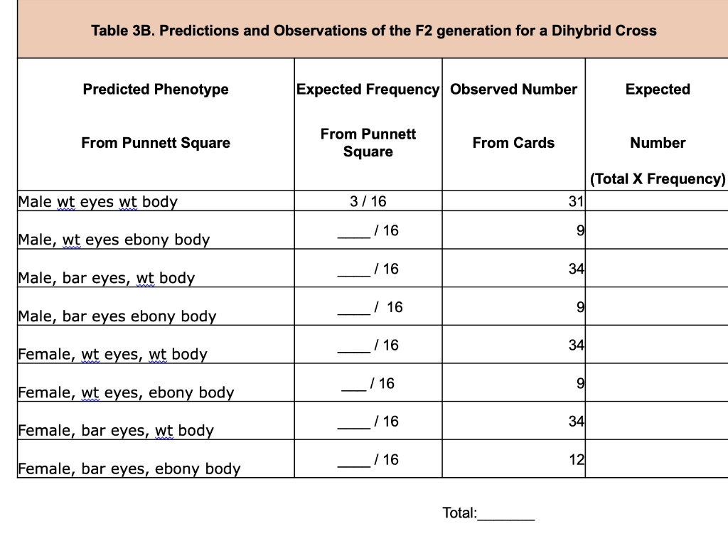 SOLVED: Table 3B. Predictions and Observations of the F2 generation for ...
