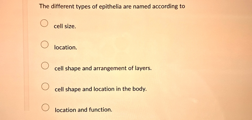 The different types of epithelia are named according to cell size ...