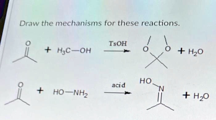 SOLVED: Draw the mechanisms for these reactions. TsOH + H2O + H2O HO acid + H2O HO-NH2