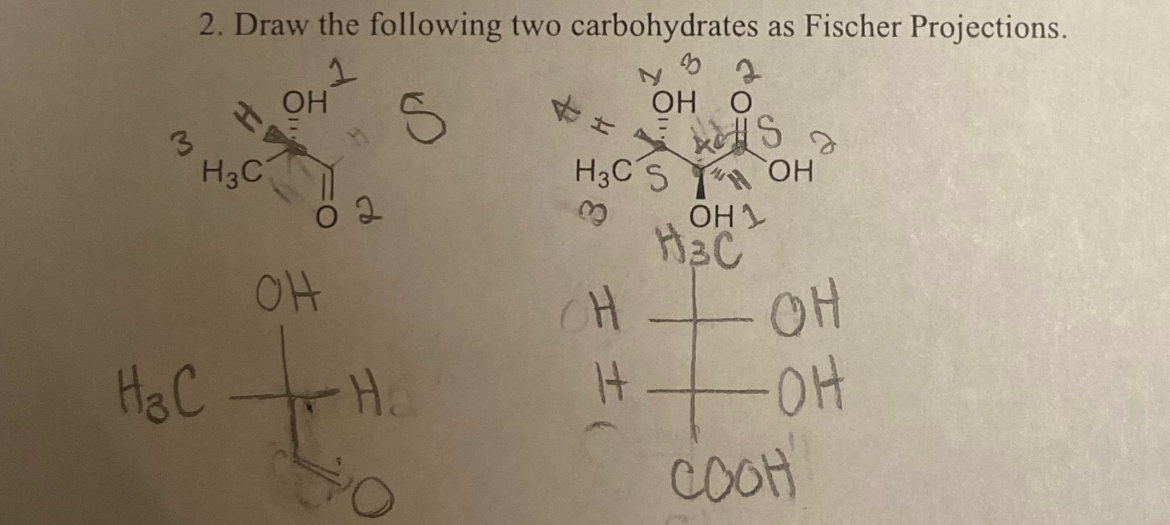 Draw the following two carbohydrates as Fischer Projections