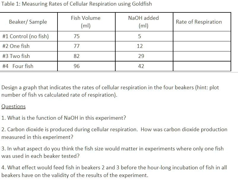 Table 1: Measuring Rates of Cellular Respiration using Goldfish Beaker ...