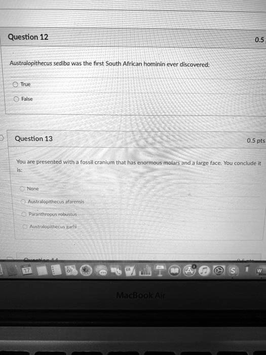 Solved Question 12 Australopithecus Sediba Was The Frst South African Hominin Ever Discovered 