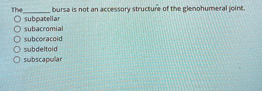 The bursa is not an accessory structure of the glenohumeral joint. O ...