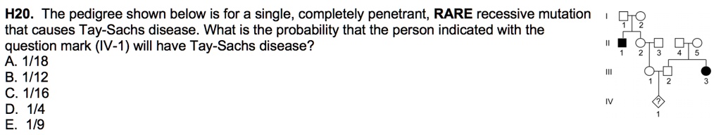 SOLVED: H2O The pedigree shown below is for a single, completely penetrant, RARE recessive ...