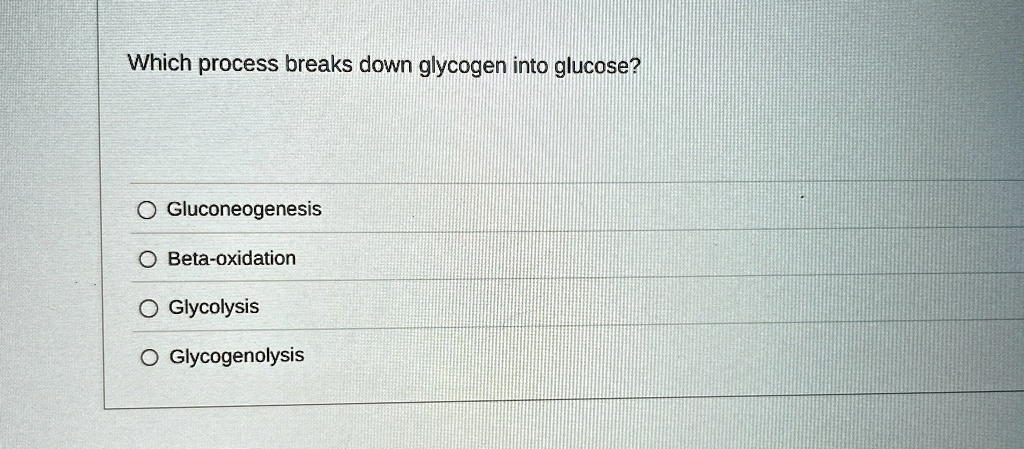 which process breaks down glycogen into glucose gluconeogenesis beta ...