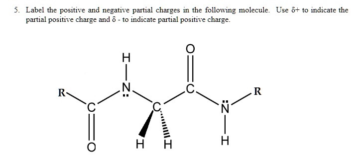 SOLVED: Label the positive and negative partial charges in the ...