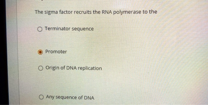 SOLVED: The sigma factor recruits the RNA polymerase to tne 0 ...