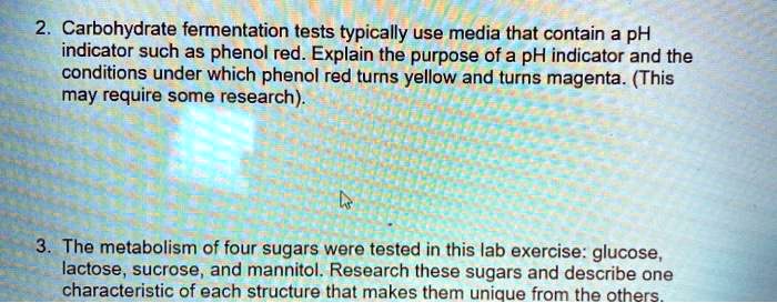 SOLVED: 2. Carbohydrate fermentation tests typically use media that ...