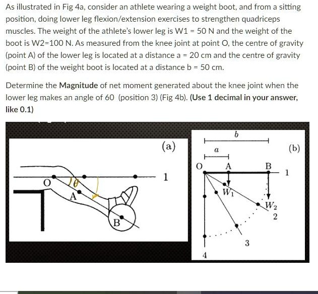 SOLVED: As illustrated in Fig 4a, consider an athlete wearing a weight ...