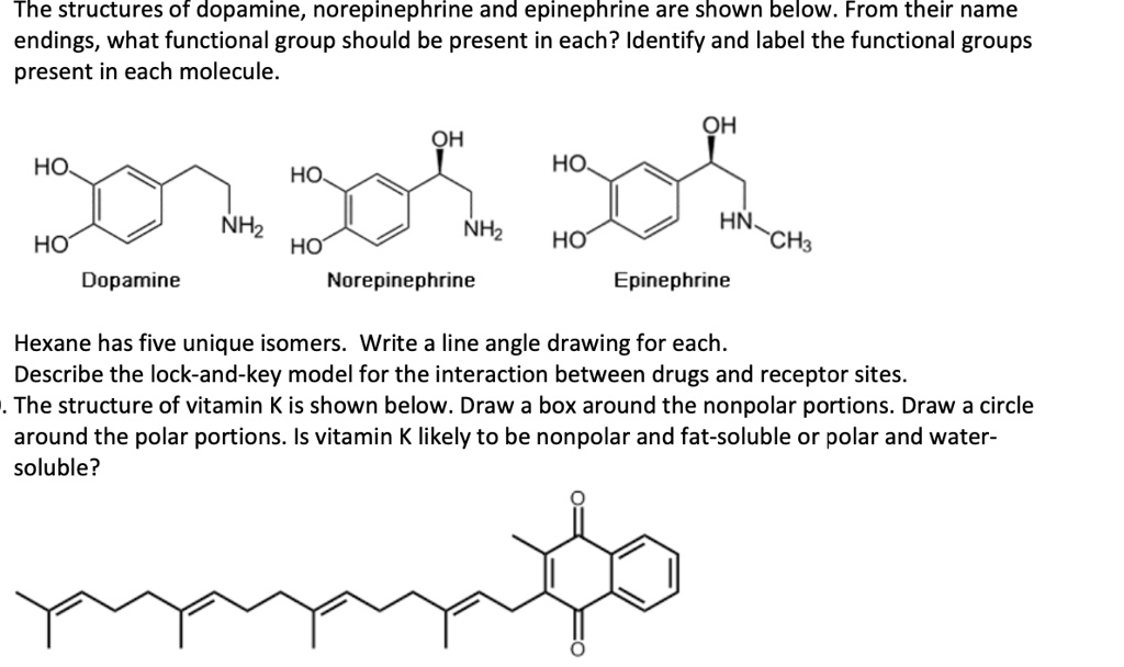 SOLVED: The structures of dopamine, norepinephrine and epinephrine are shown below. From their ...