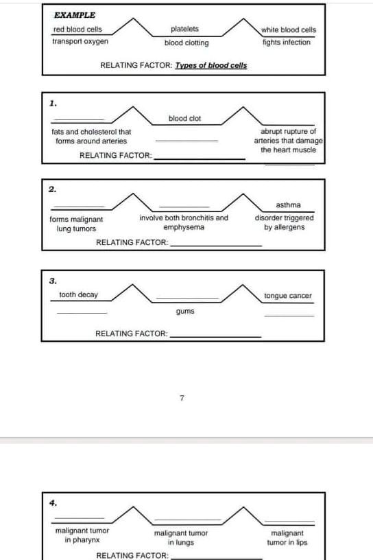 VIDEO solution: The graphic organizer shown below is called a bridge ...