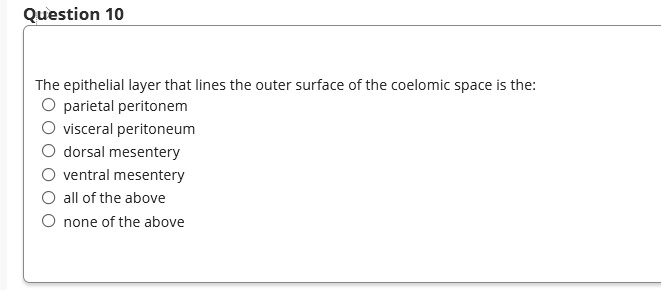 Question 10 The epithelial layer that lines the outer surface of the ...